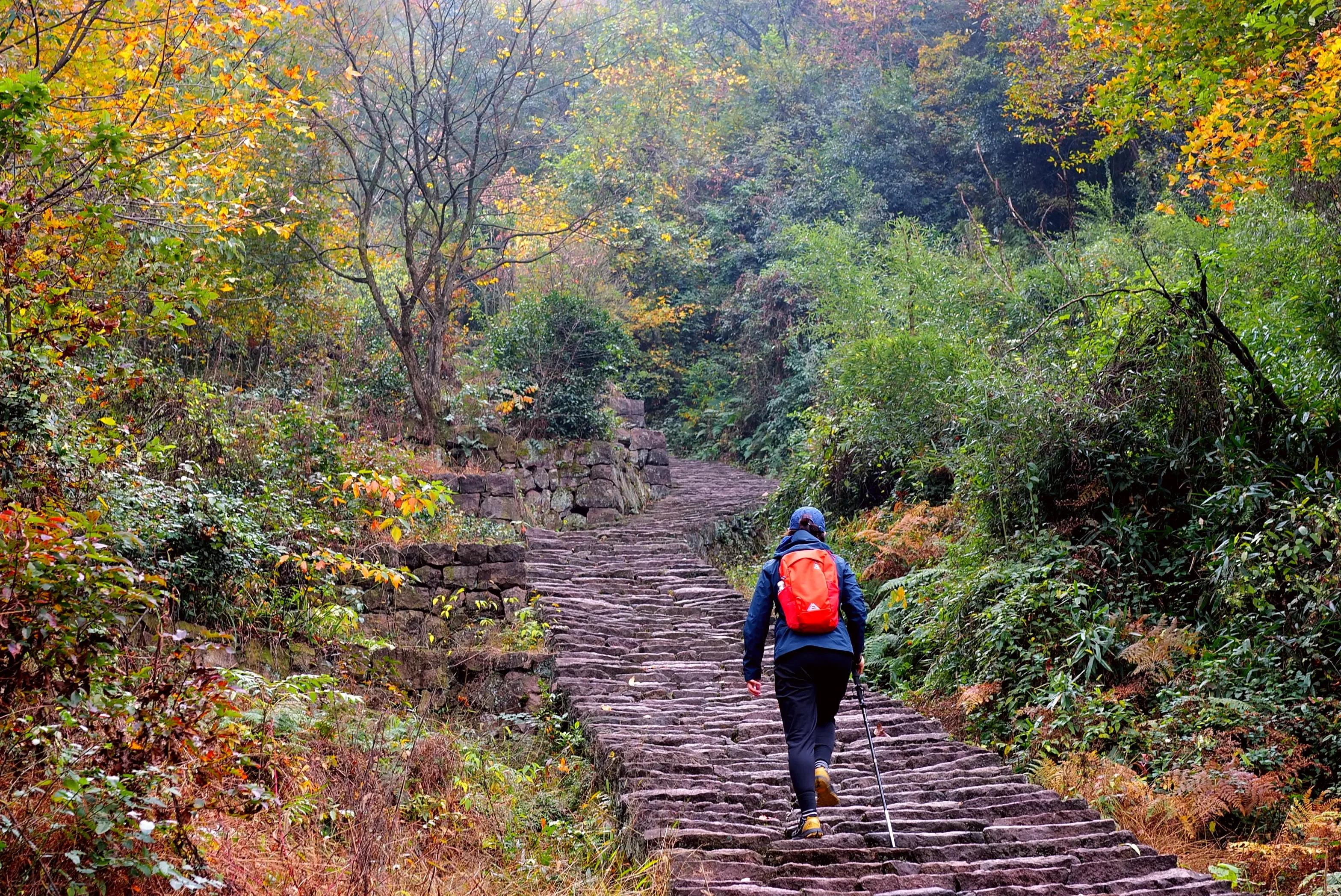 The Most Beautiful Autumn Ancient Trail: Hiking the Taoyanling Ancient ...