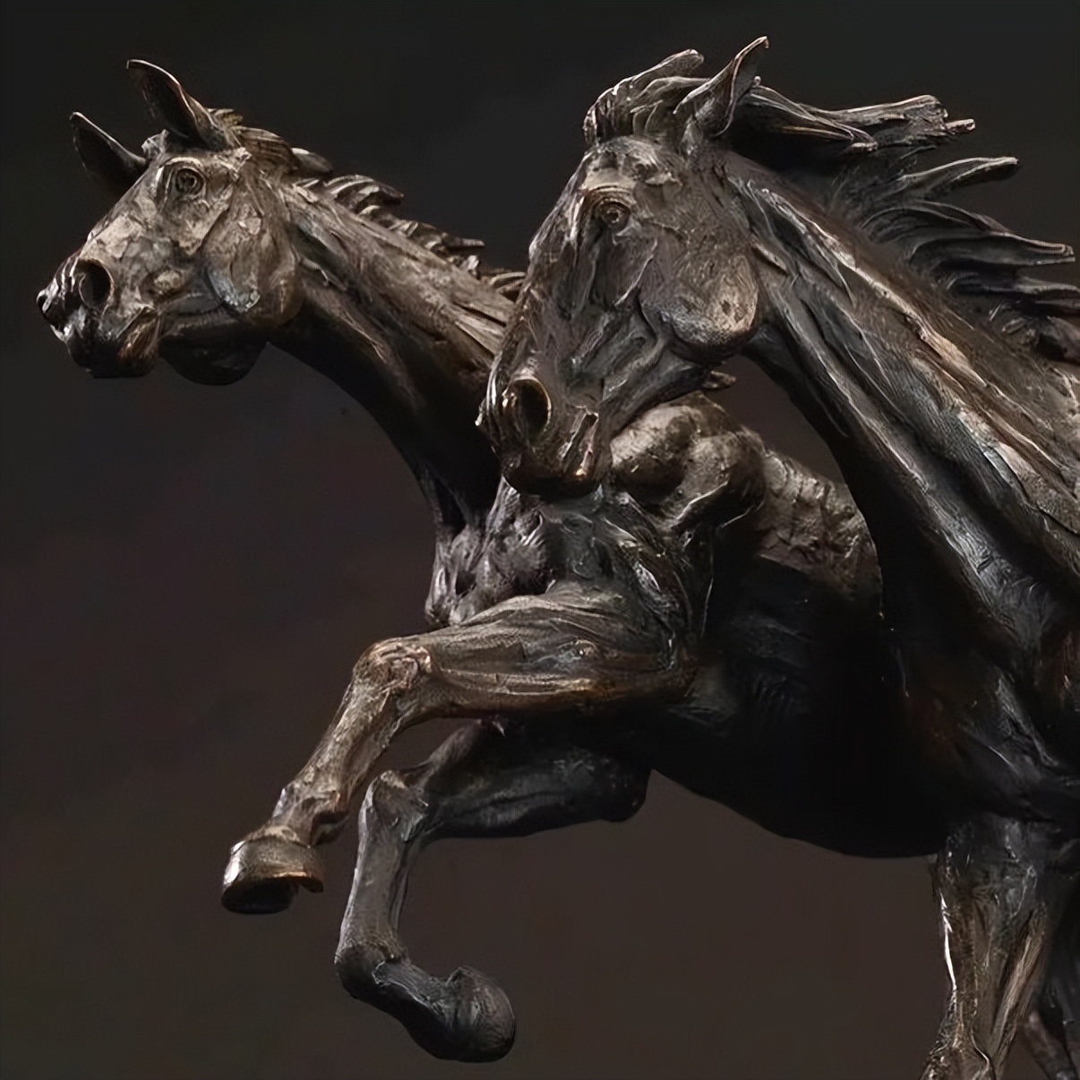 Hamish Mackie's vibrant animal sculptures - iNEWS