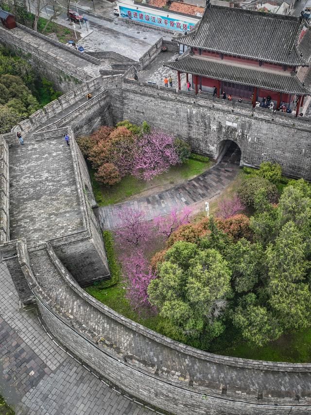 The beauty after years of precipitation: The spring scenery in ...
