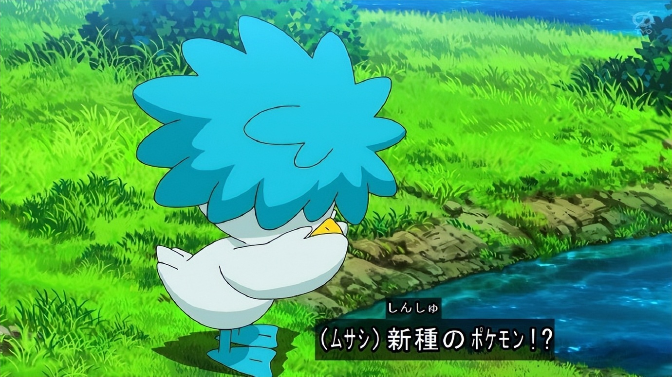 Pokémon: Zhu Zi's last Yusanjia Runya Duck debuted under Team Rocket's ...