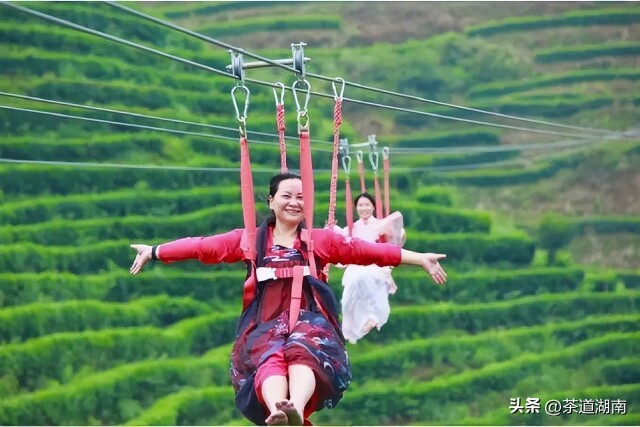 Infinite scenery in the tea town - visit the national 3A-level scenic ...