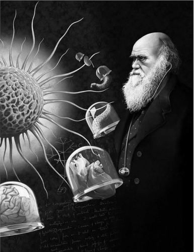 The Peak Moment of Natural Selection: Revealing the Most Fighting ...