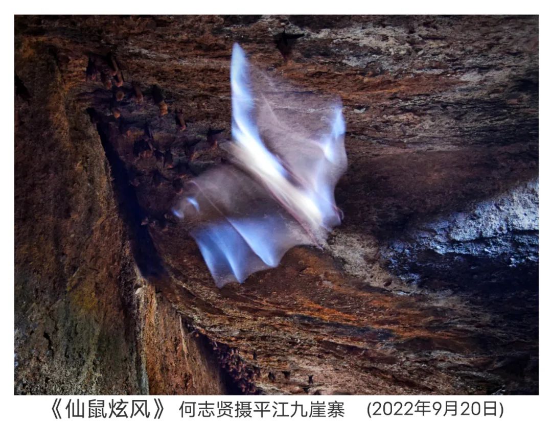 Pingjiang Jiuyazhai Scenic Sky Bat Spectacular - iNEWS