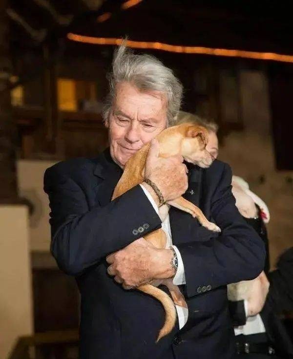 Sad news, "Zorro" is gone! French superstar Alain Delon passed away ...