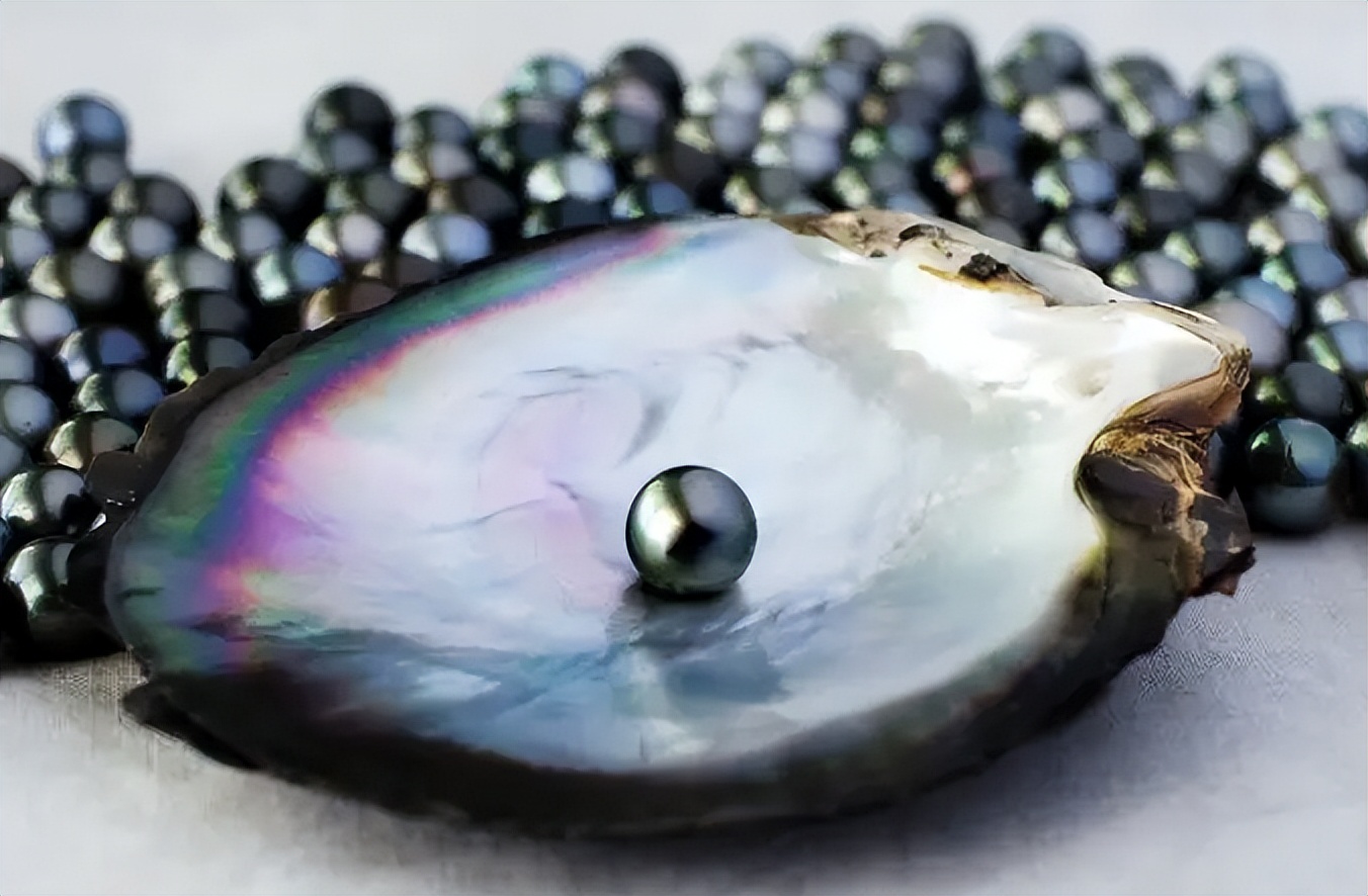 Do you know what the "Queen of Pearls" was in ancient Greece? - iNEWS