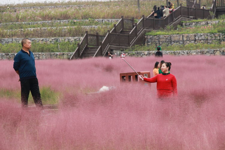 Tongyun Flowing Waterfall Manshanhong - iNEWS