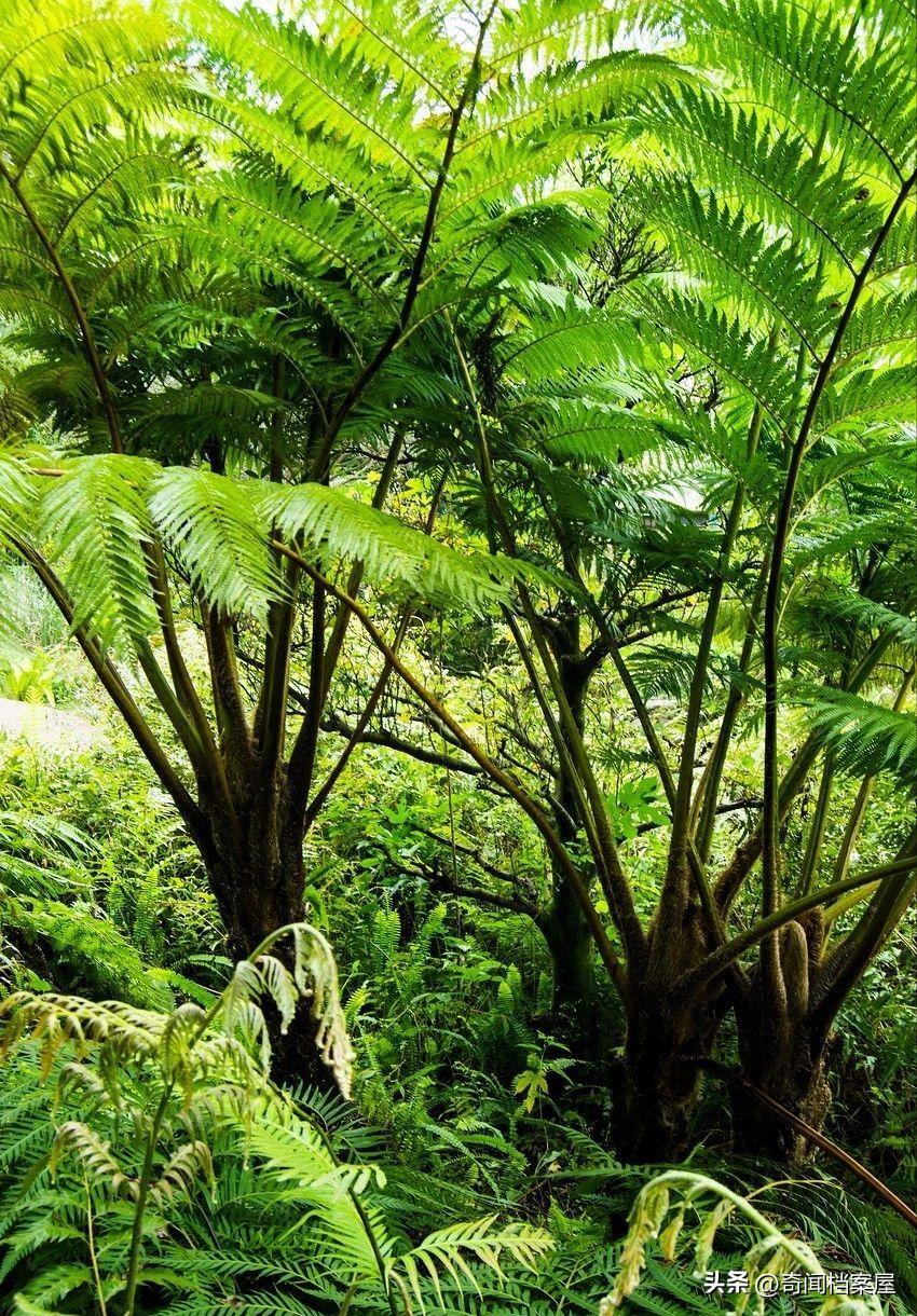 Witnesses to the Vicissitudes of History——Research on the Current ...