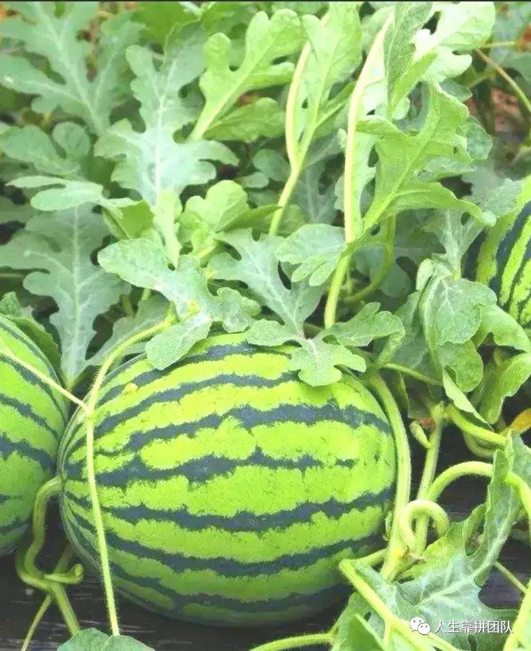 《建築室內用膩子(JG/T 298-2010)》 - 資訊咖