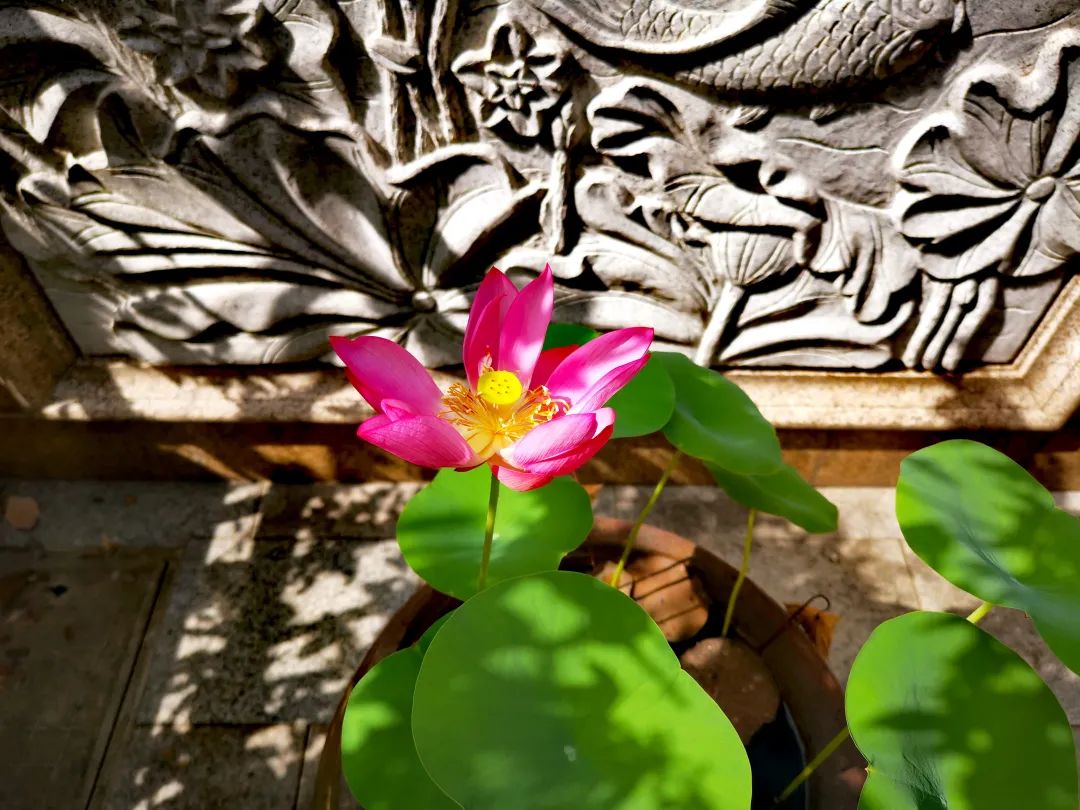 Those cultural allusions that originated from Suizhou and influenced ...