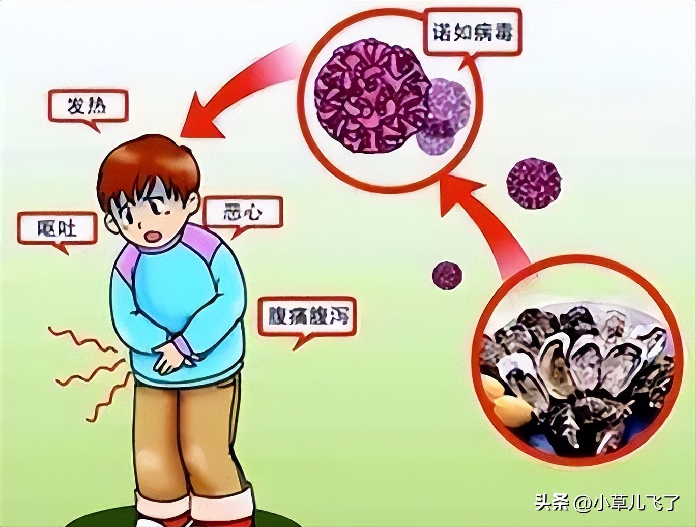 Spring prone diseases and preventive measures - iNEWS