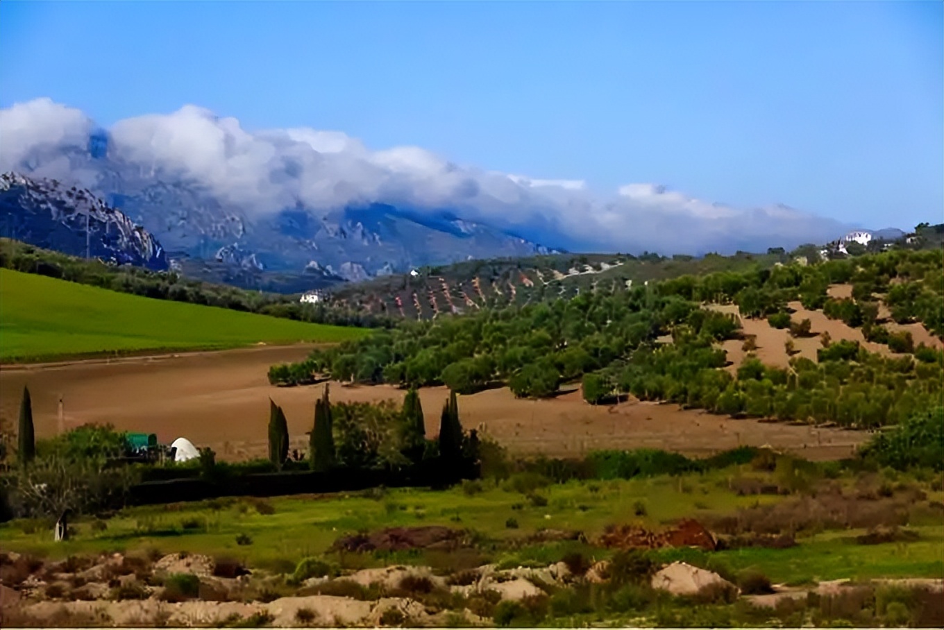 Explore the process of signing the Treaty of Utrecht in the 17th ...