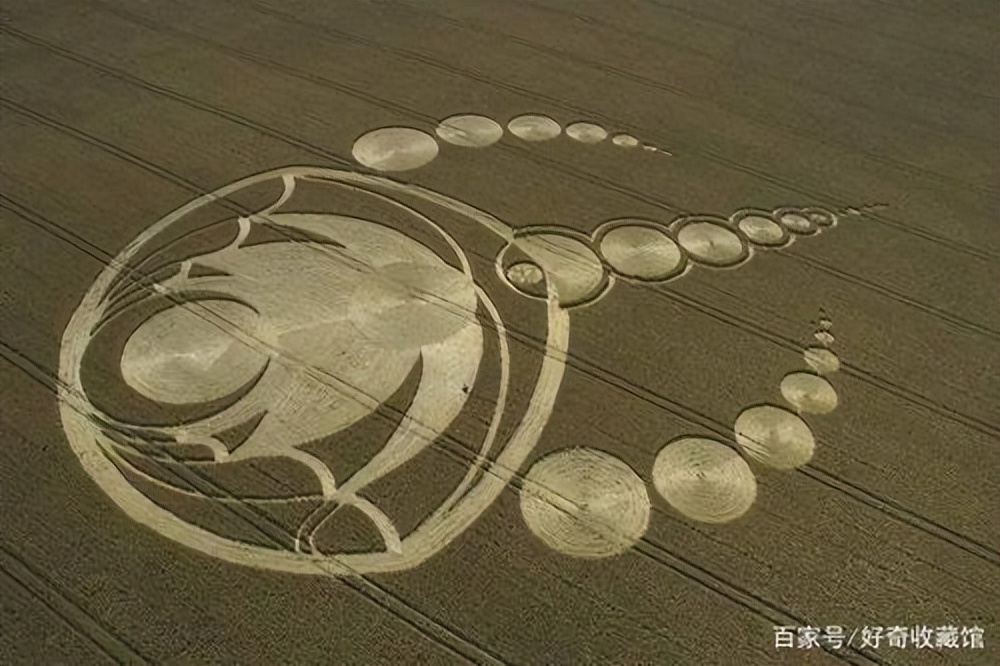 What did scientists discover after studying the patterns in crop ...