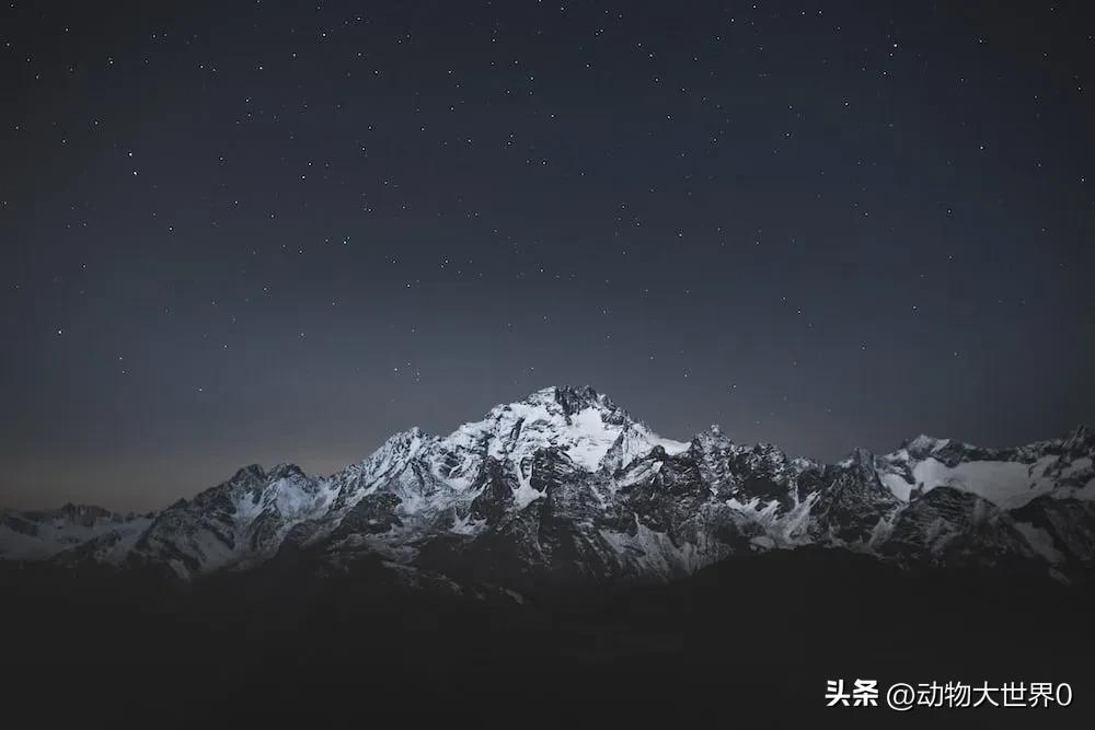 Demystifying the Constellation of Career Success and Family Happiness ...