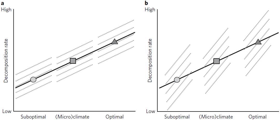 Nature Ecology & Evolution: Examining hierarchical models for litter ...