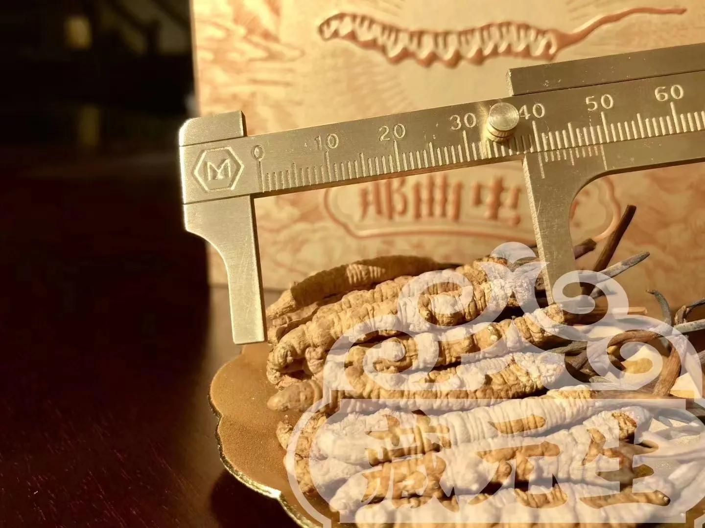 The origin of biological taxonomy of Cordyceps sinensis - iNEWS