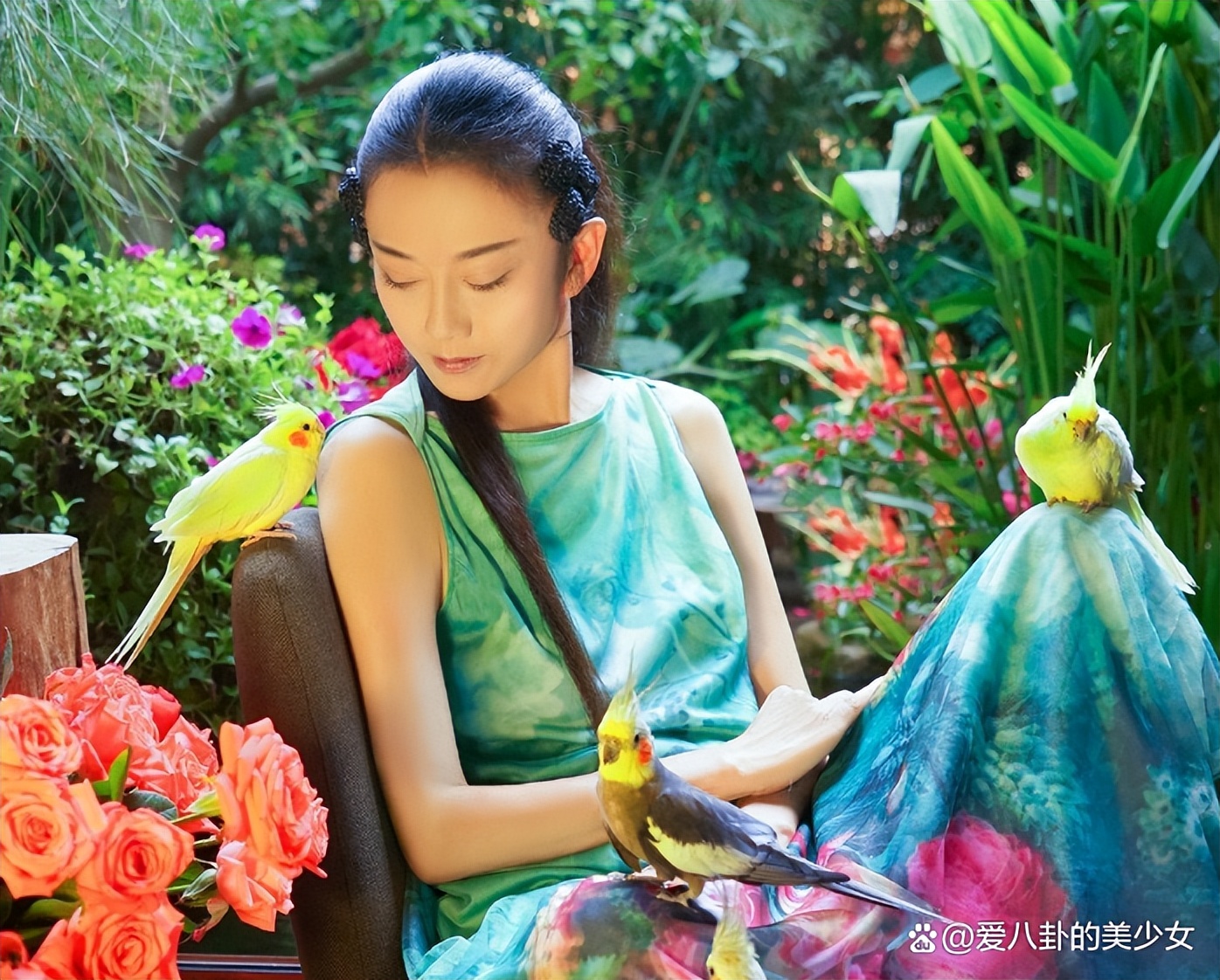 Yang Liping's "big tree attracts wind" has caused indecent controversy ...