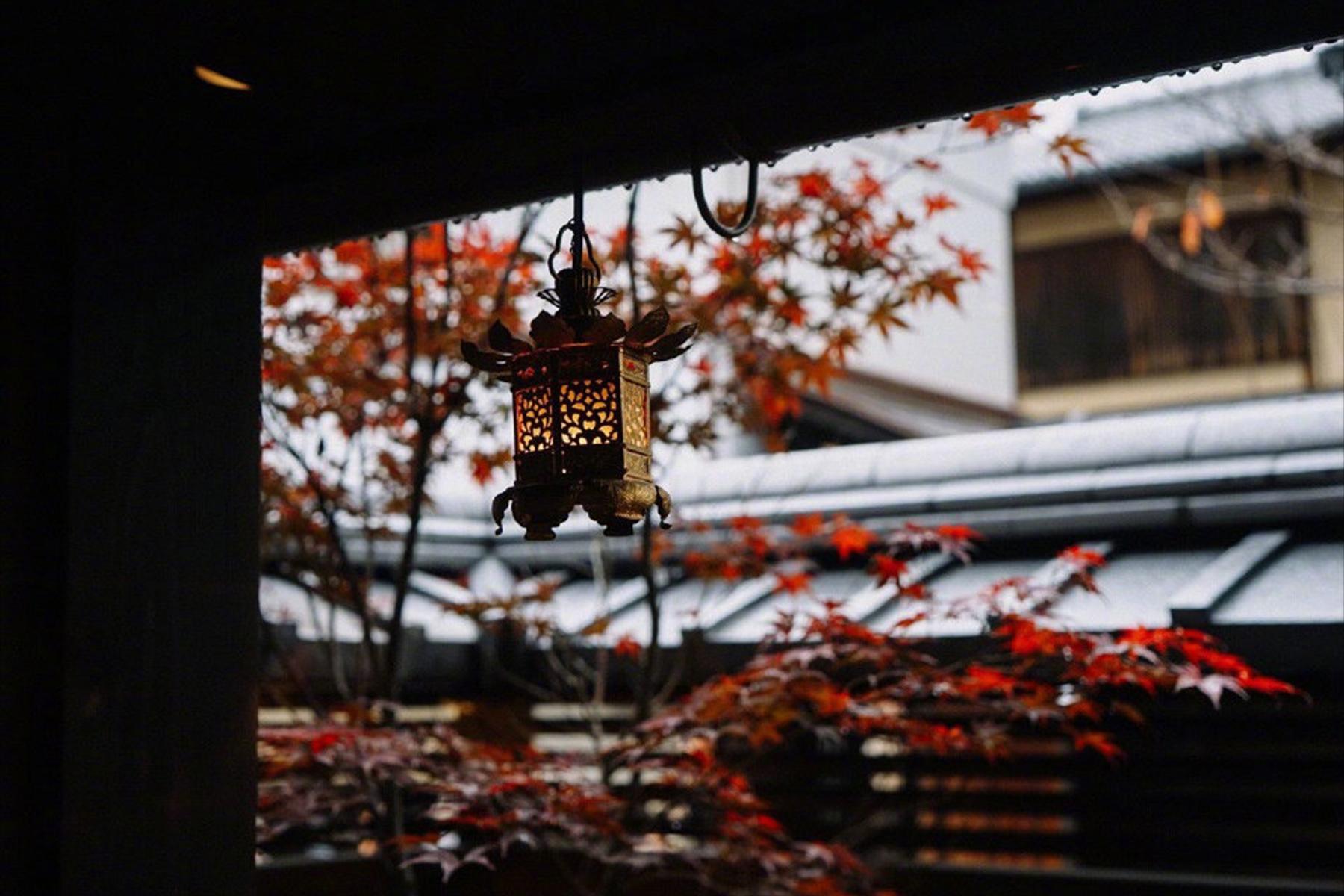 November 2022: Capricornus November overall horoscope, good things ...