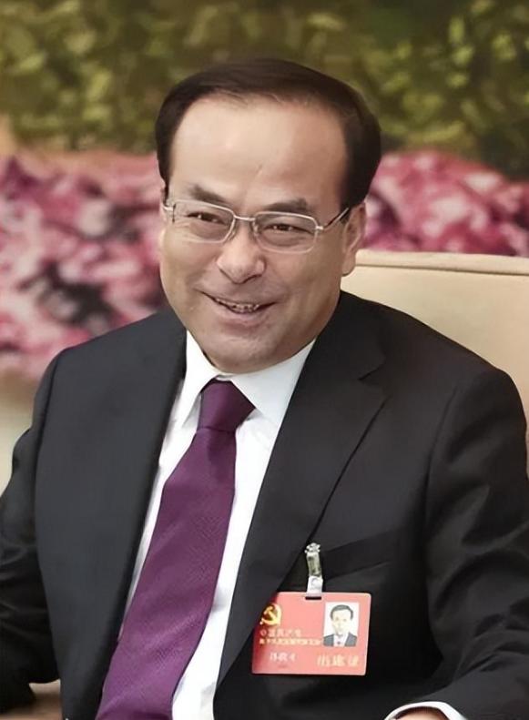 Deputy State-Level Sun Zhengcai: Crazy amassing more than 170 million ...