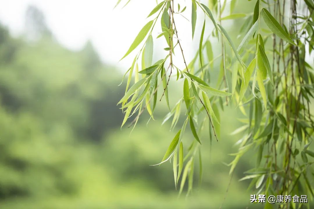 It's another year of Qingming. In addition to outing and sweeping ...