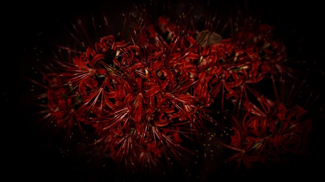 The Fusion of Fantasy and Reality: The Choice of Director Ge You and ...