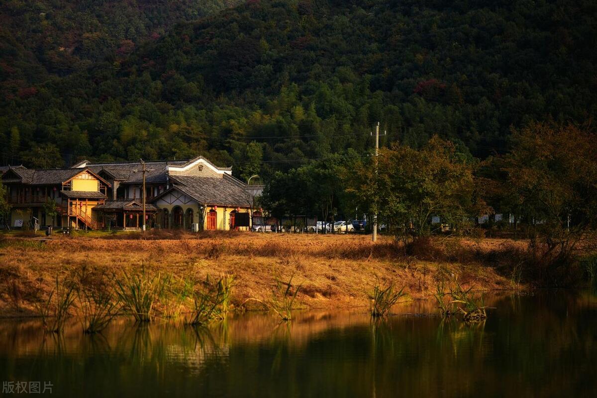 Wang Yanjun: A Growing Village - iNEWS