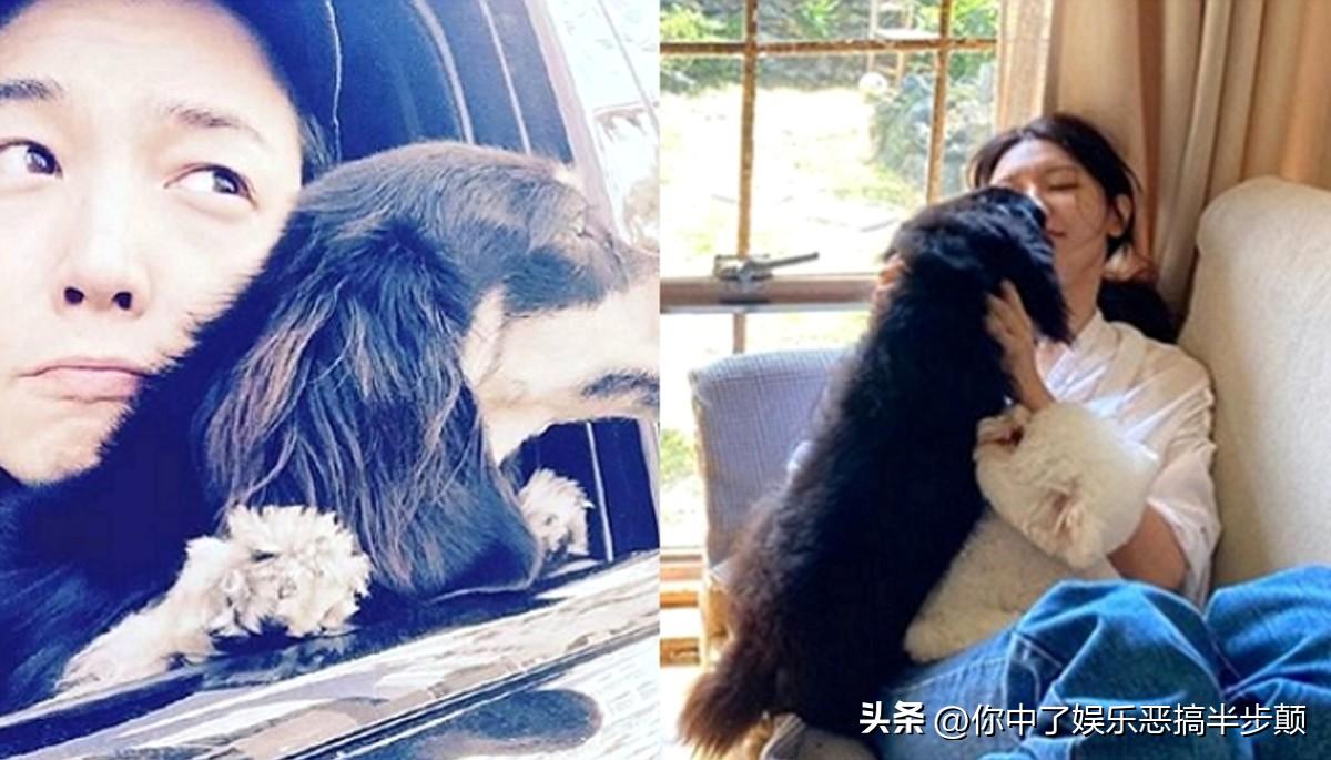 Zheng Jinghao Xiuying's 10-year relationship with the same frame photo was exposed for the first ...