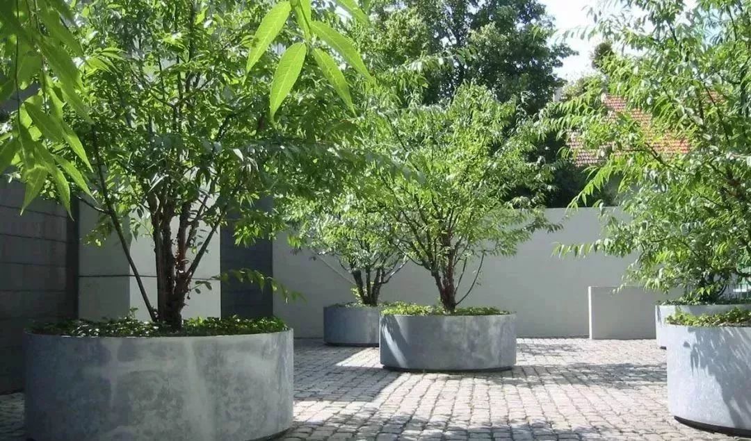 Having seen so many tree pools, do you know these design skills? - iNEWS