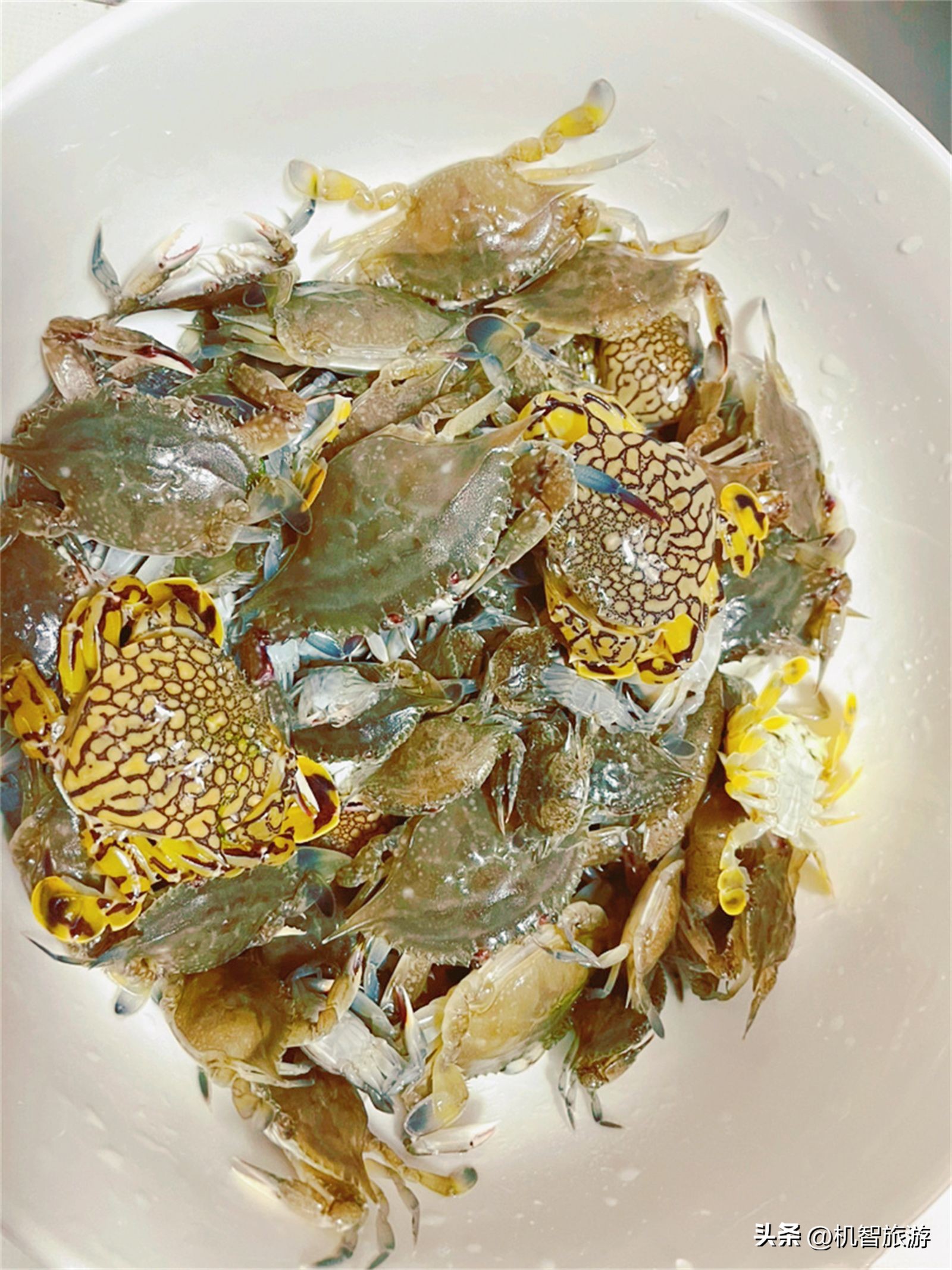 Rizhao tourism, delicious food and beautiful scenery, so that the ...