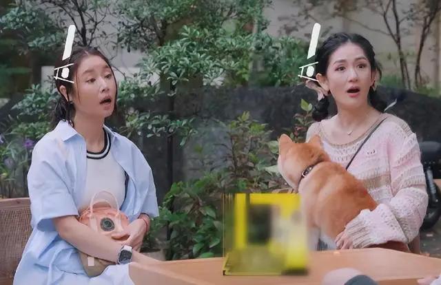 Female version of "Longing for Life": The true state of Yang Zi and Lin ...