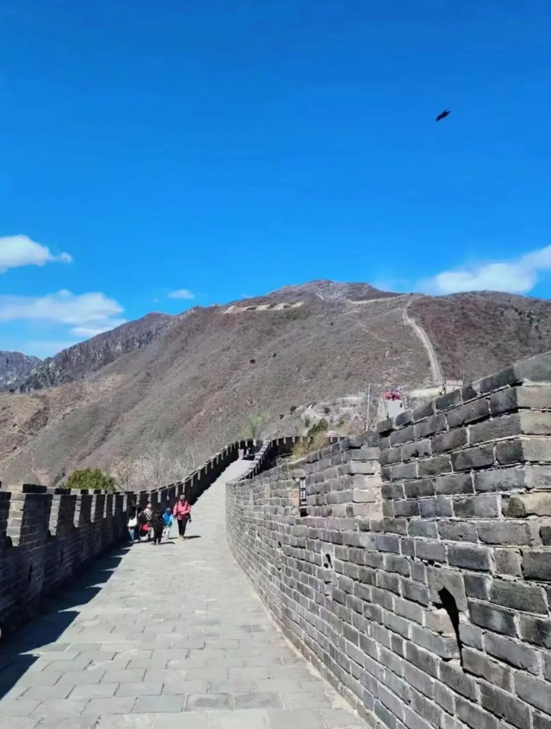 Guo Jingjing was squeezed out by Li Jiaxin? This group photo C position ...