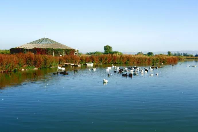 Wetland Dengjinglou (two ancient poems) - iNEWS