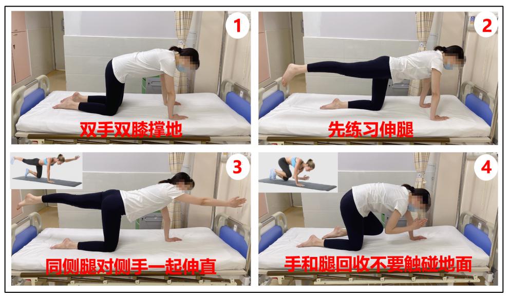 Functional exercises to relieve low back pain - iNEWS