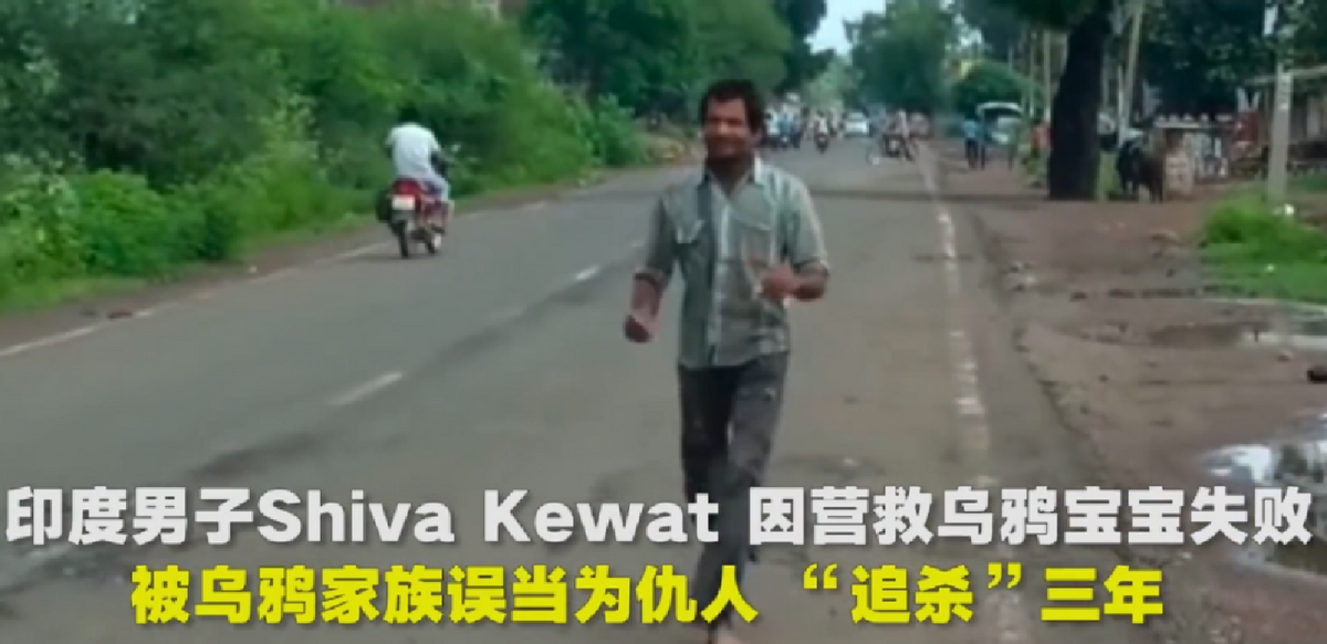 Top 10 most hated animals in the world - iNEWS