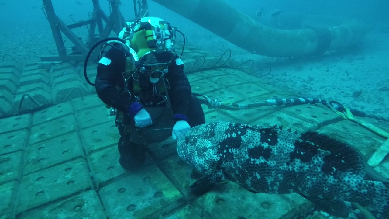 4 divers were blown to pieces in an instant!Saturation diving is so ...