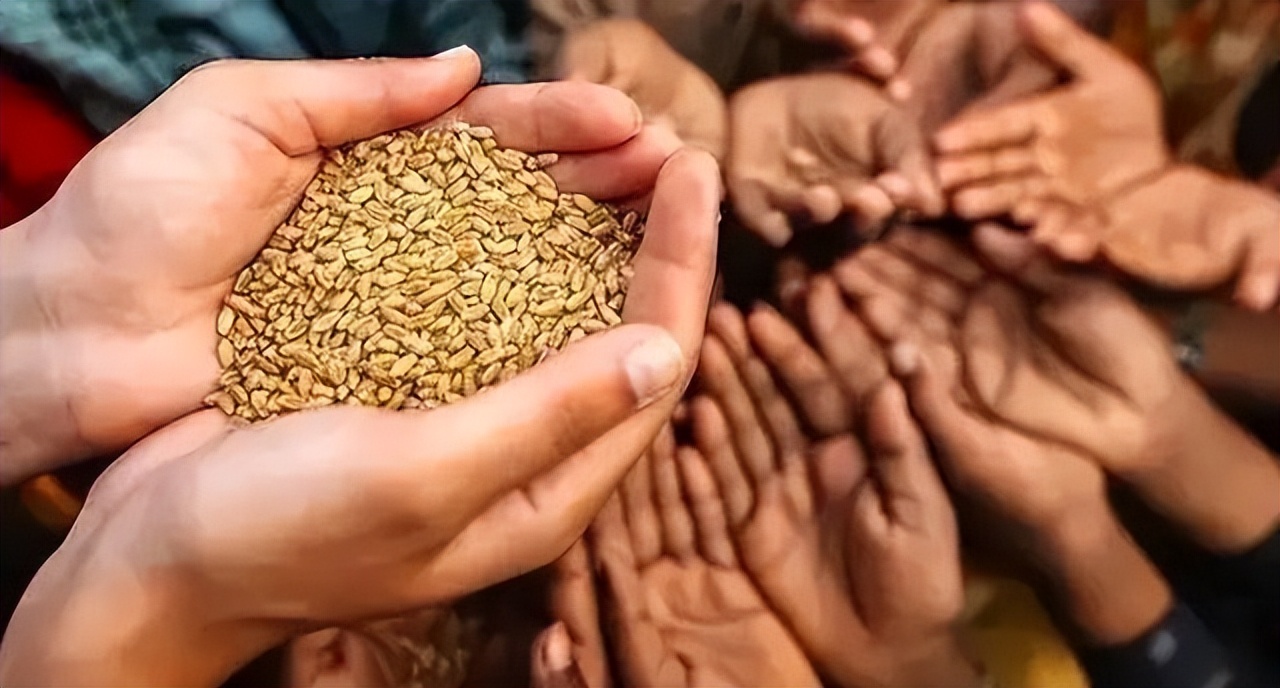 Inventory of the world's famous grain merchants - iNEWS