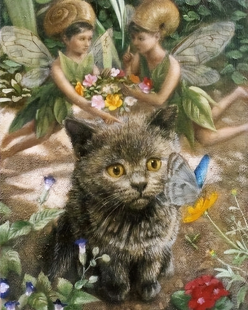 Distribution of cat breeds in the Middle Ages: How were the different ...
