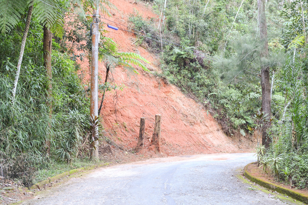 The Formation and Effect of Debris Flow - iMedia