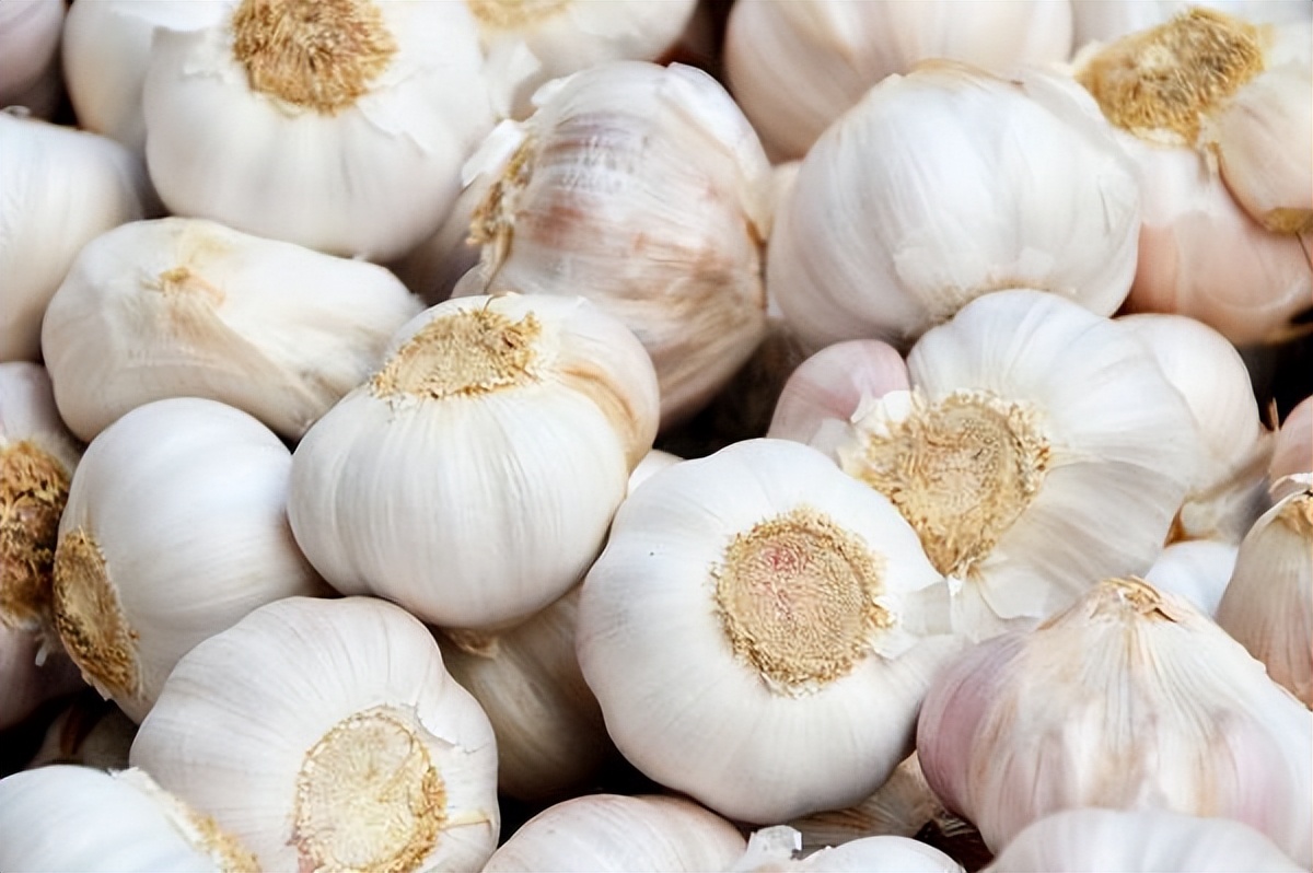 A 59-year-old man insists on eating raw garlic every day for ...
