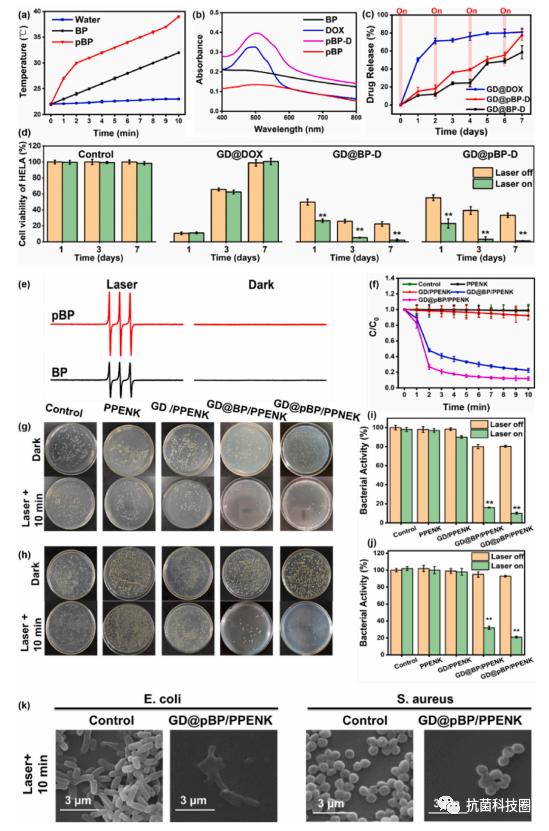 Mussel-inspired multifunctional hydrogel coatings for antitumor therapy ...