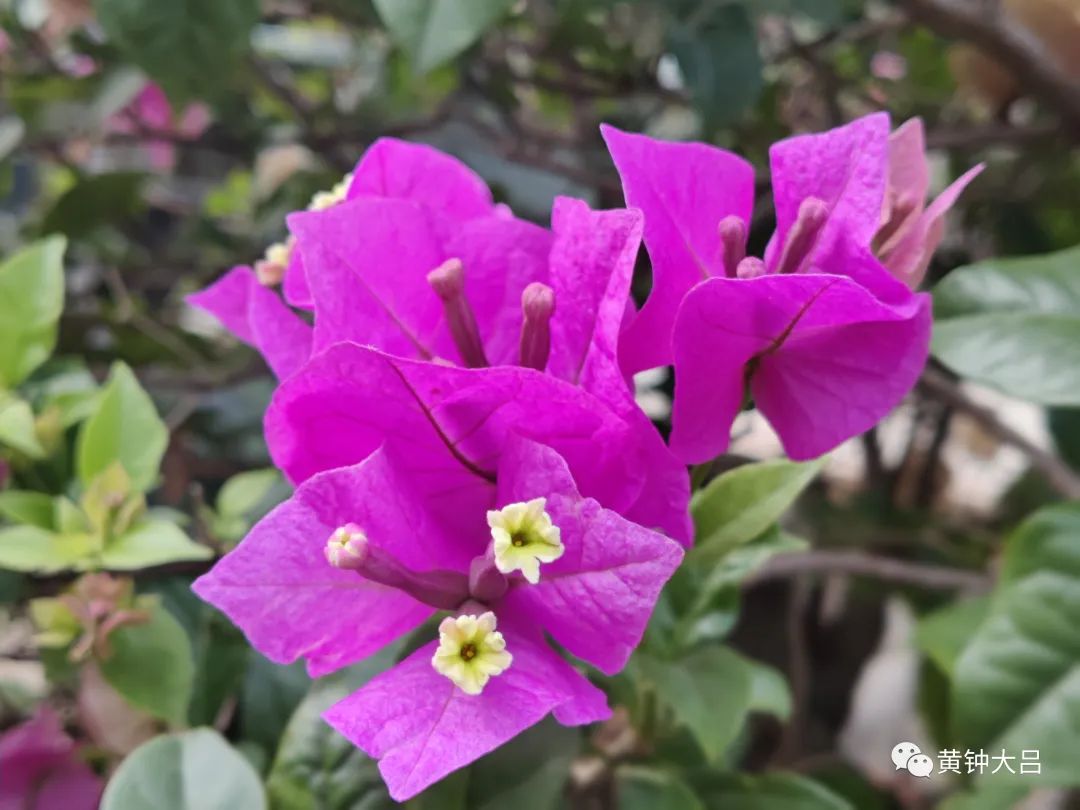 Reactive balance training makes me feel a lot (0810) - iNEWS
