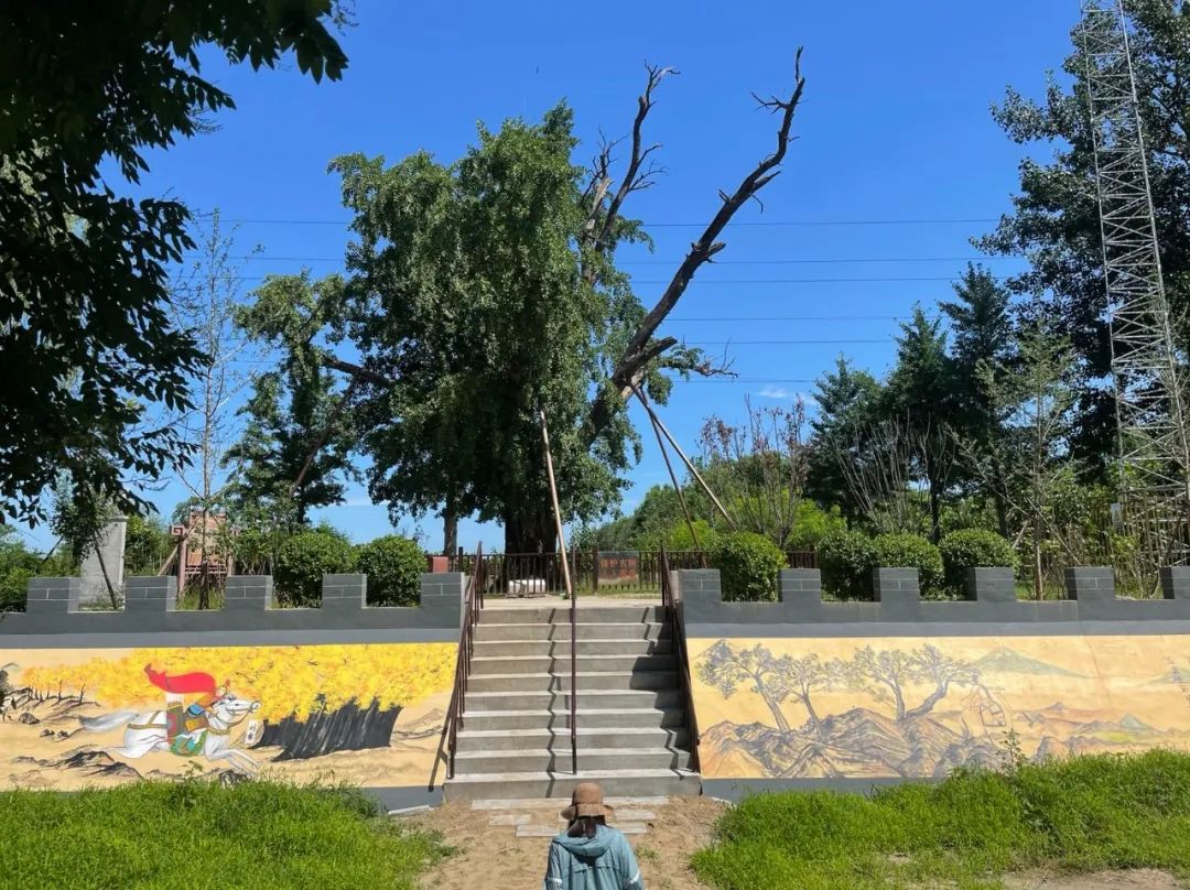 The city with the most ancient trees in the world will build 20 more ...