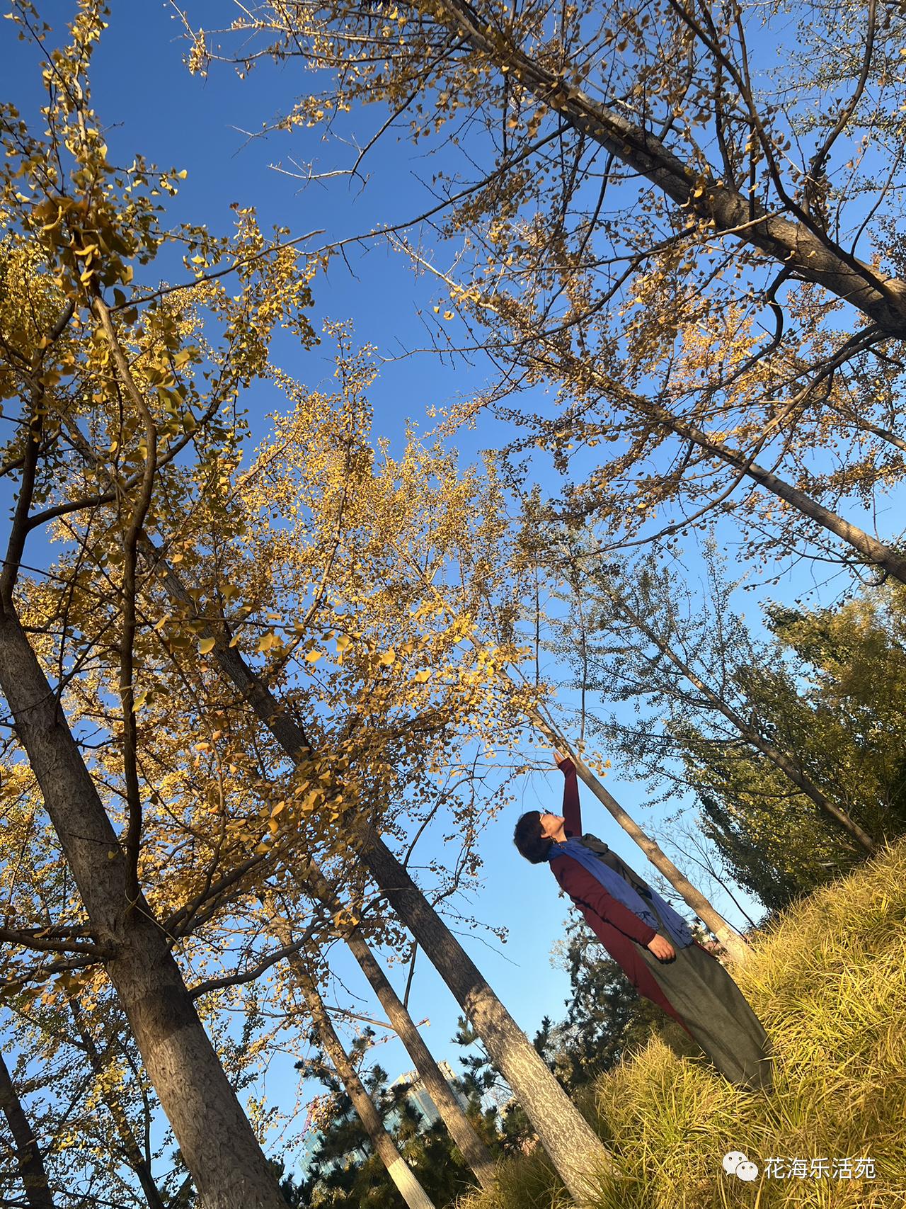 Let's talk about the version hall (4) - iNEWS