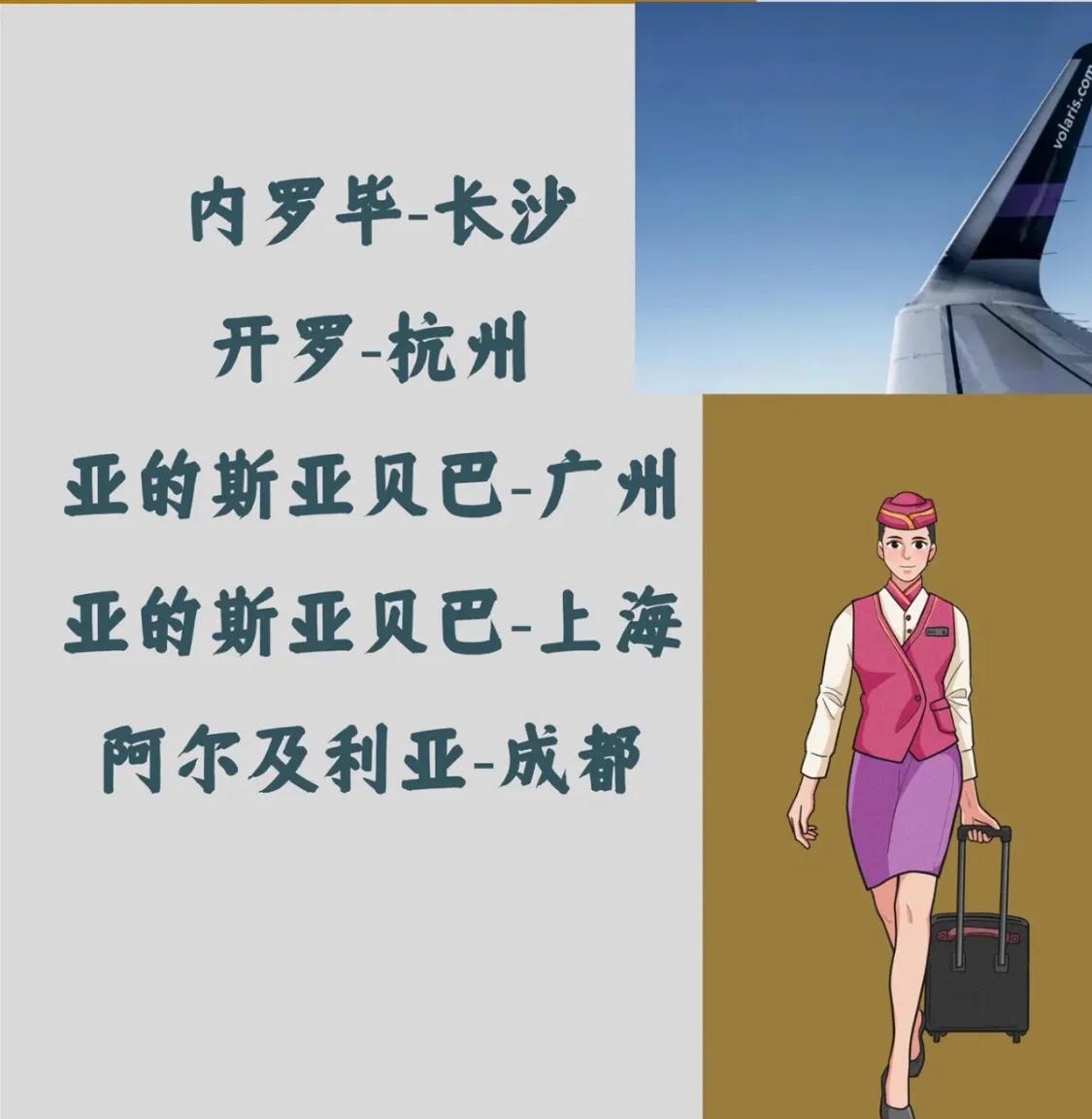 Summary of flights back to Africa - iNEWS