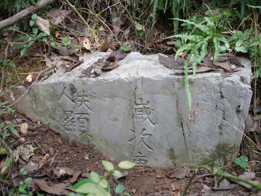 Research on the Tomb Site of Chen Luan, Governor-General of Liangjiang ...