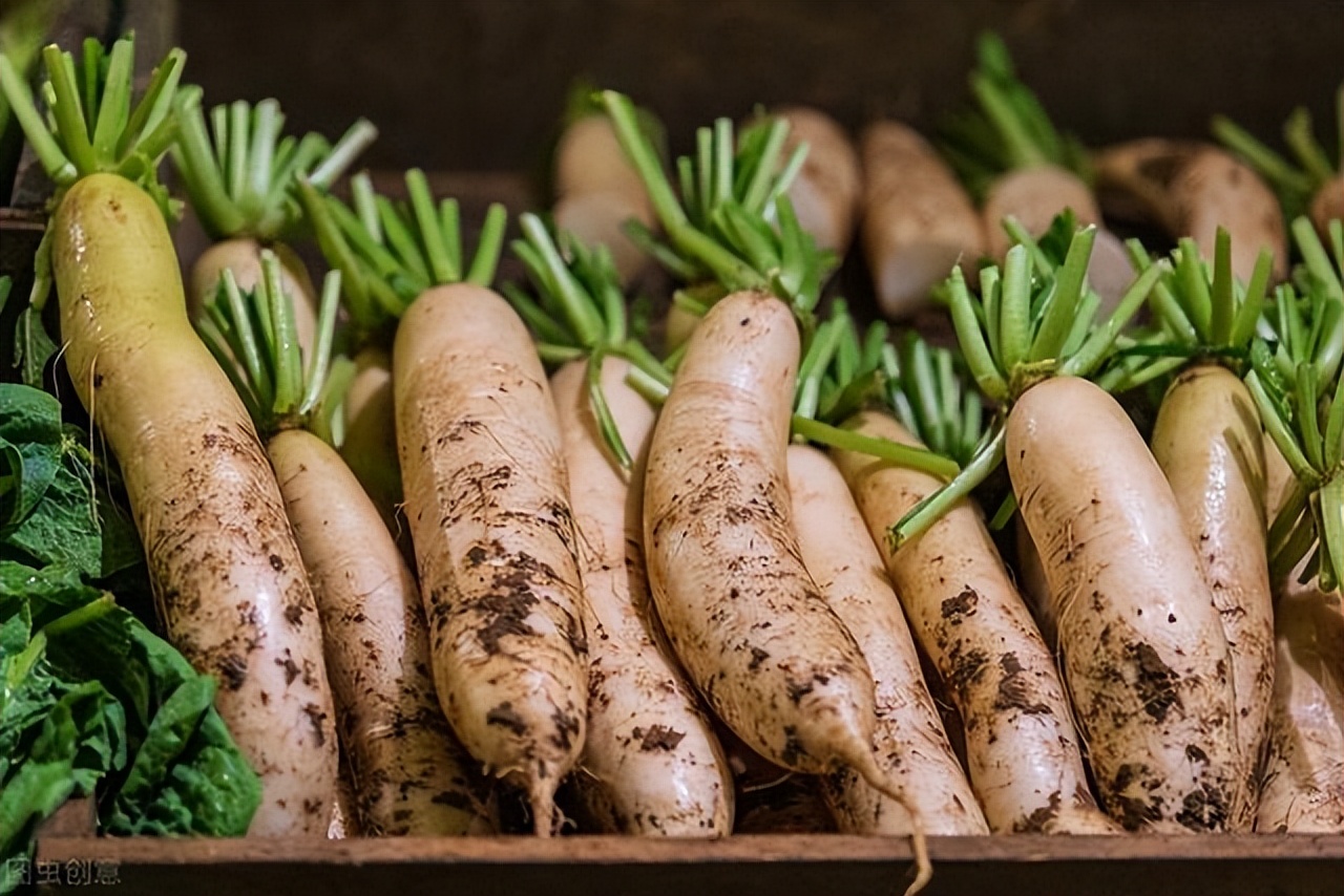 There is a coup for the preservation of radishes in the building, no ...