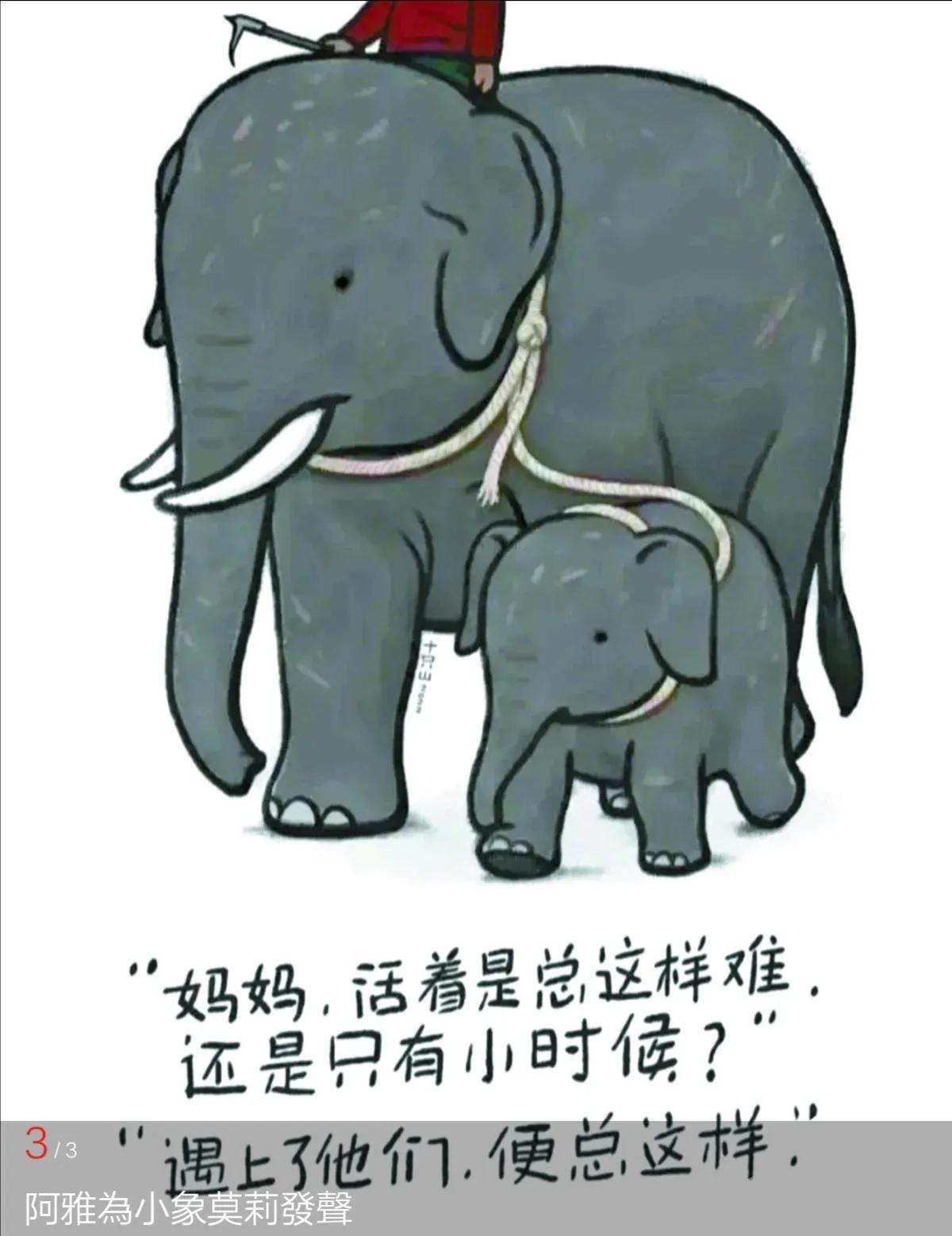 Aya speaks for Molly the elephant - iNEWS