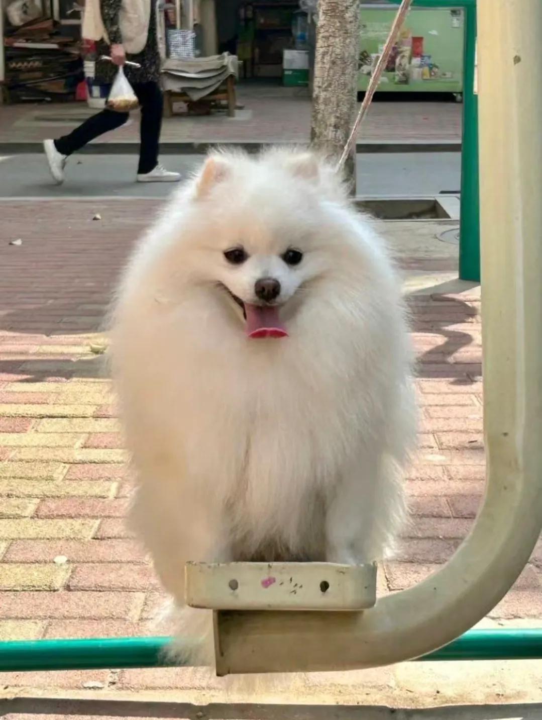 Bomei's ending, is it really impossible to escape heart failure? - iNEWS