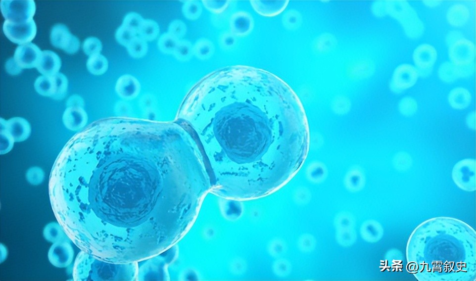 CtIP promotes the motor activity of DNA2 and accelerates long-distance ...
