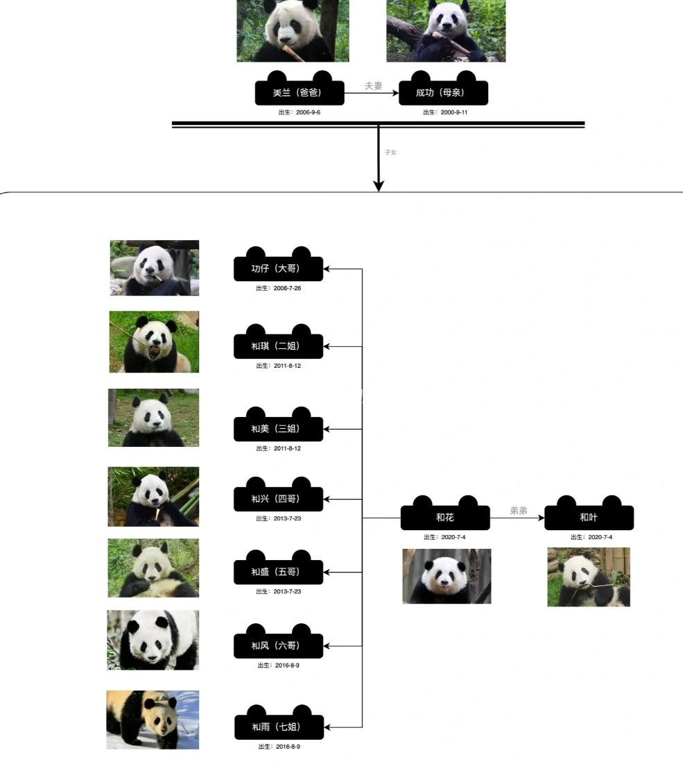 Interpretation of the family tree relationship of giant panda Huahua ...