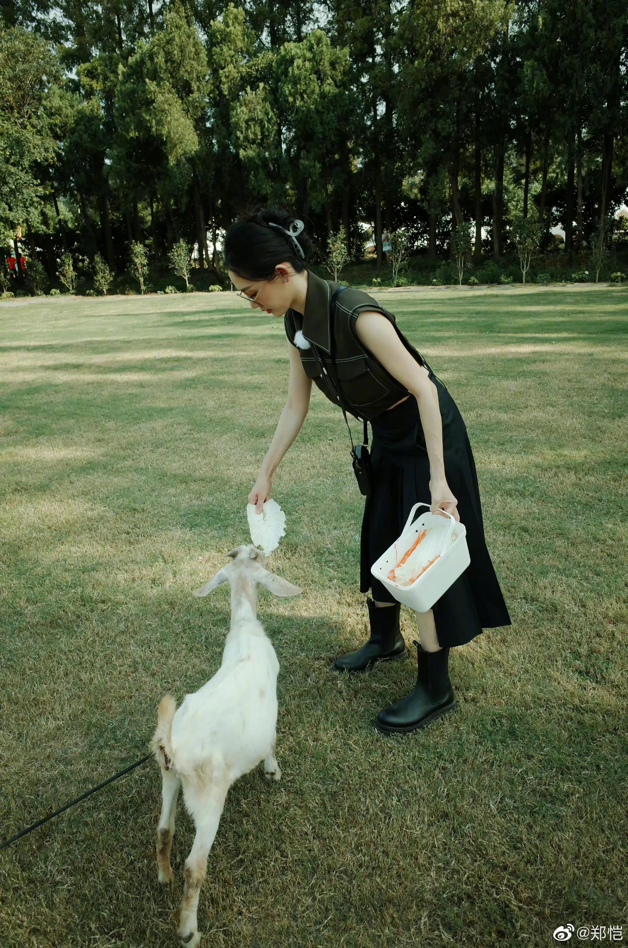Why Zheng Kai is willing to give up Cheng Xiaoyue, a wealthy daughter ...